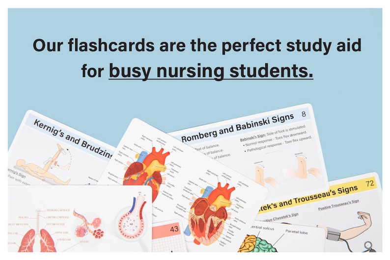 Medsurg Nursing Flashcards - Etsy