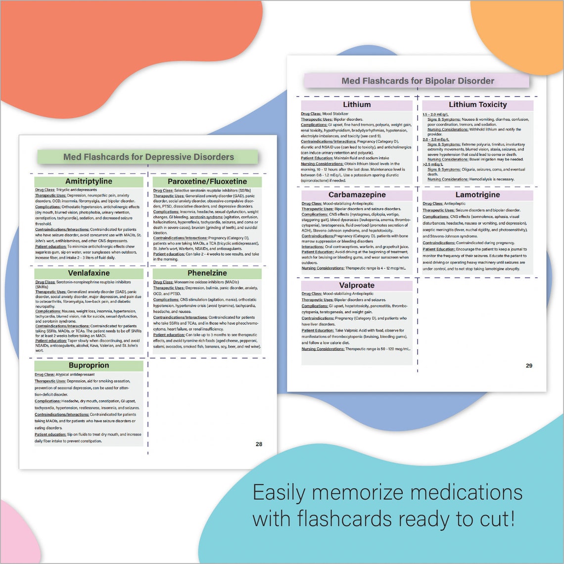 Mental Health Nursing Study Guide - Etsy