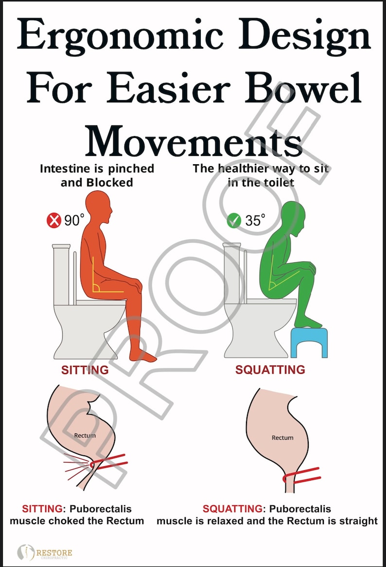 Ergonomics Design for Easier Bowel Movements Poster - Frame NOT ...
