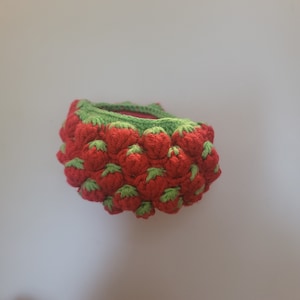 Strawberry Coin Purse Crochet Pattern - Etsy