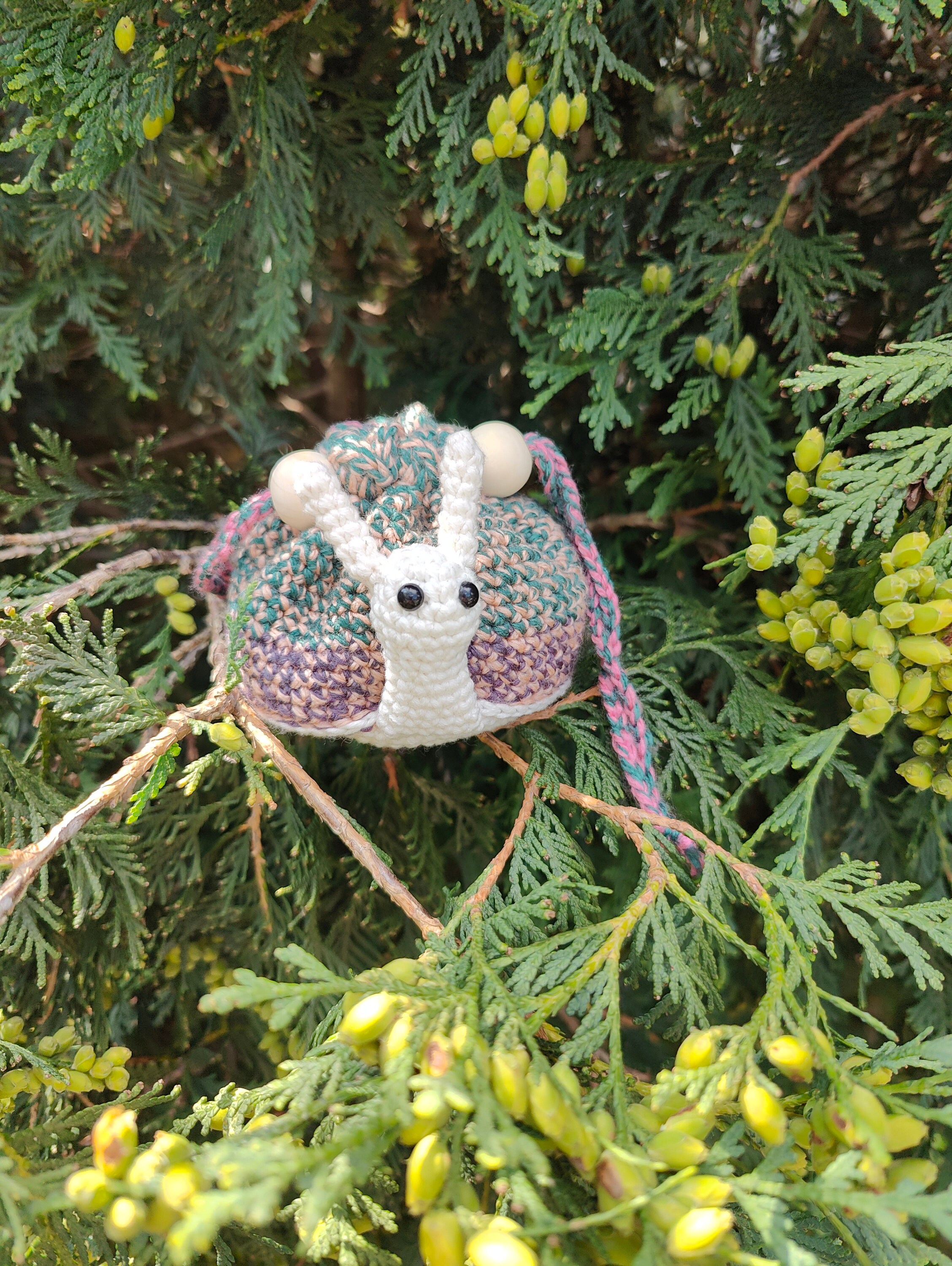 Crochet Snail Coin Purse Pattern - Etsy