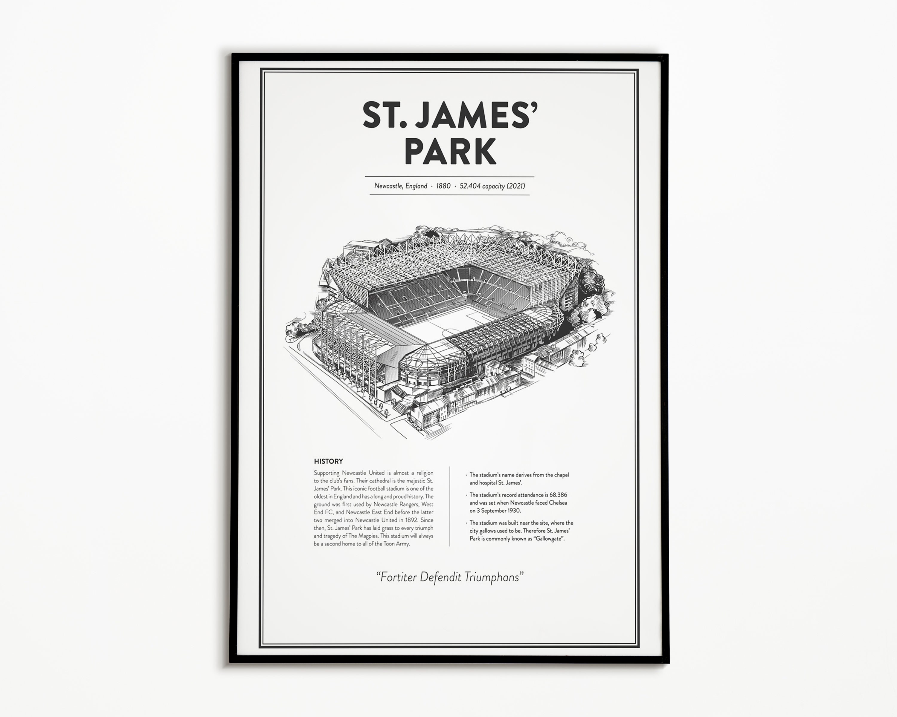 St. James Park Poster Newcastle United Stadium Poster Newcastle United ...