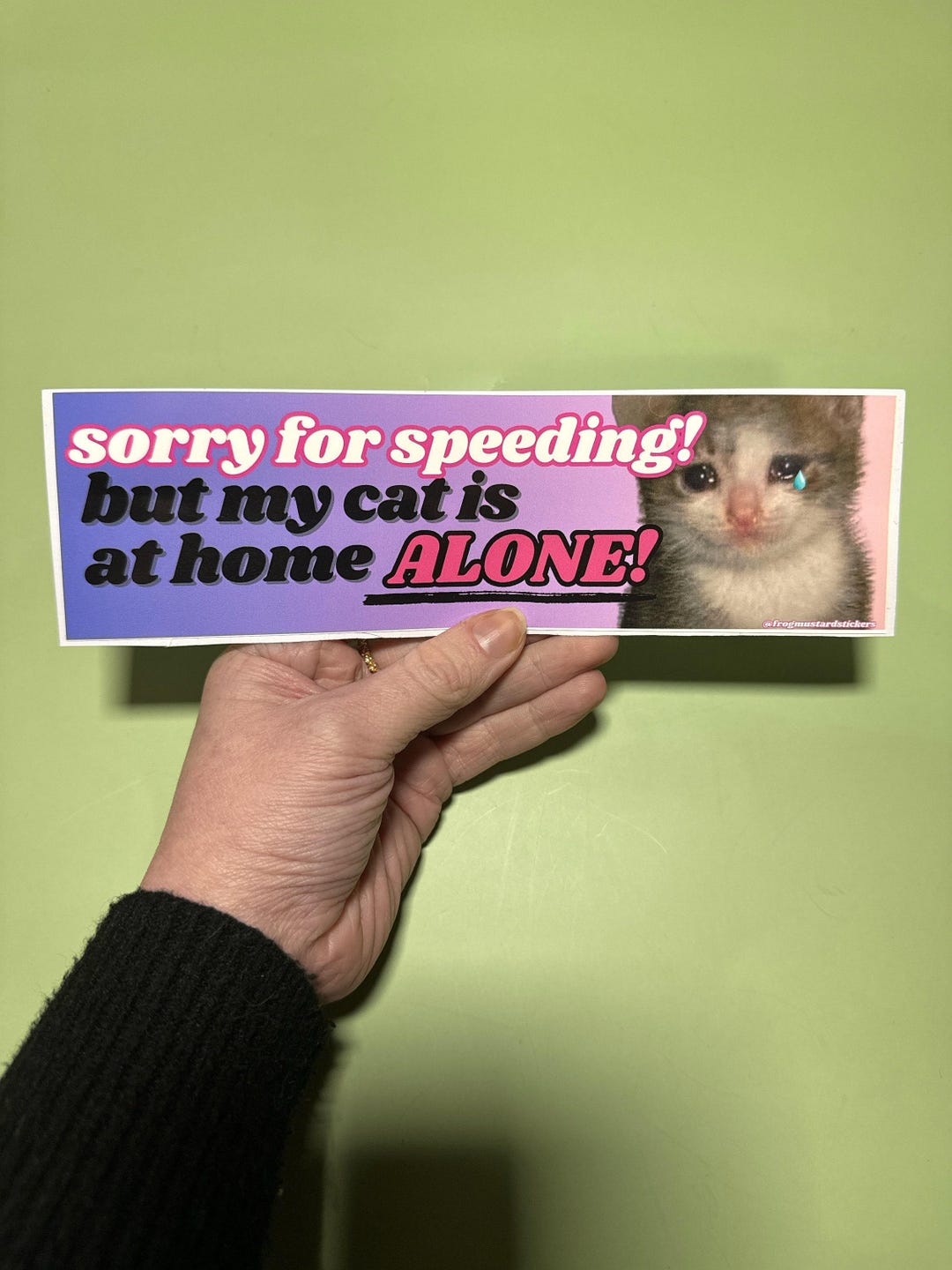 Sorry for Speeding My Cat is Home Alone Bumper Sticker or Magnet, Funny ...
