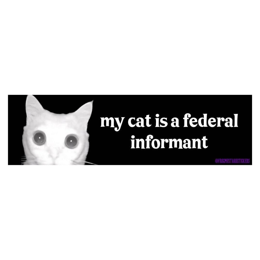 My Cat is a Federal Informant Bumper Sticker or Magnet, Funny Cat Meme ...