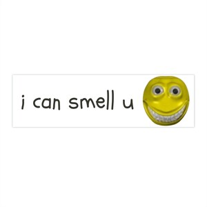 I Can Smell U | Bumper Sticker | Water Bottle Sticker | Gen Z Meme ...