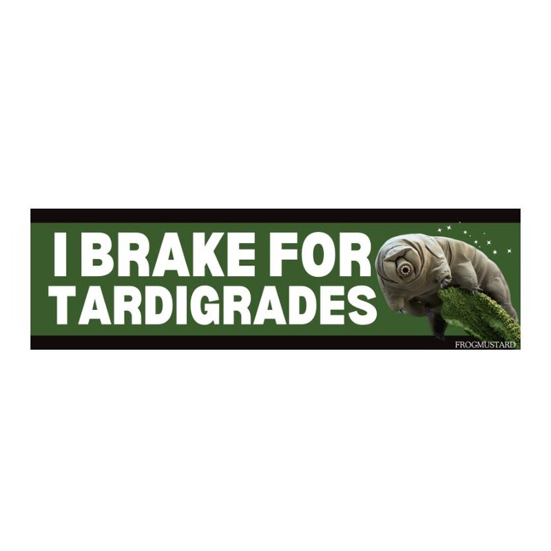 Tardigrade - Etsy