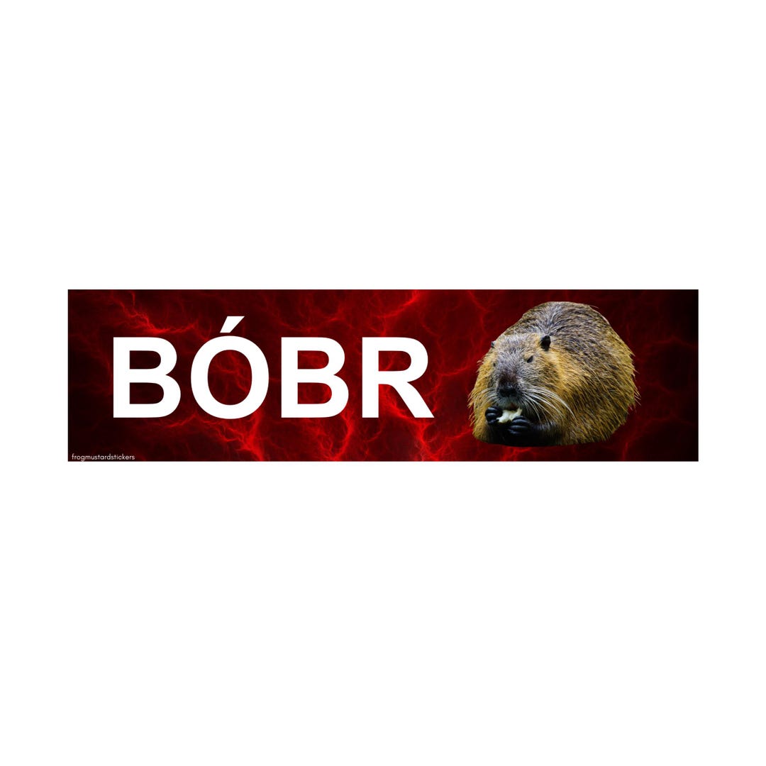 Bóbr (bober/bobber Polish Beaver) | Bumper Sticker OR Magnet | Cute ...