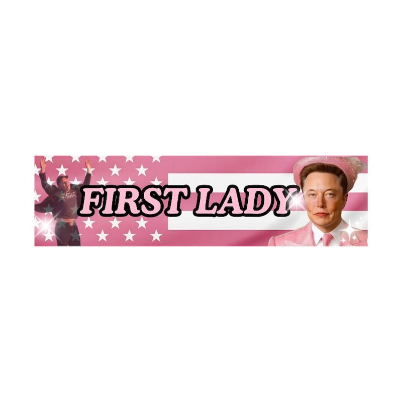 Donald trump elon musk stickers - Etsy.de