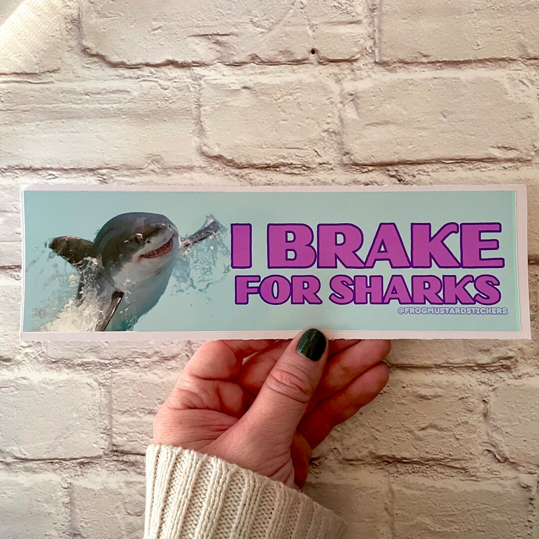 I Brake for Sharks Bumper Sticker or Magnet | Funny Sticker | Satire ...