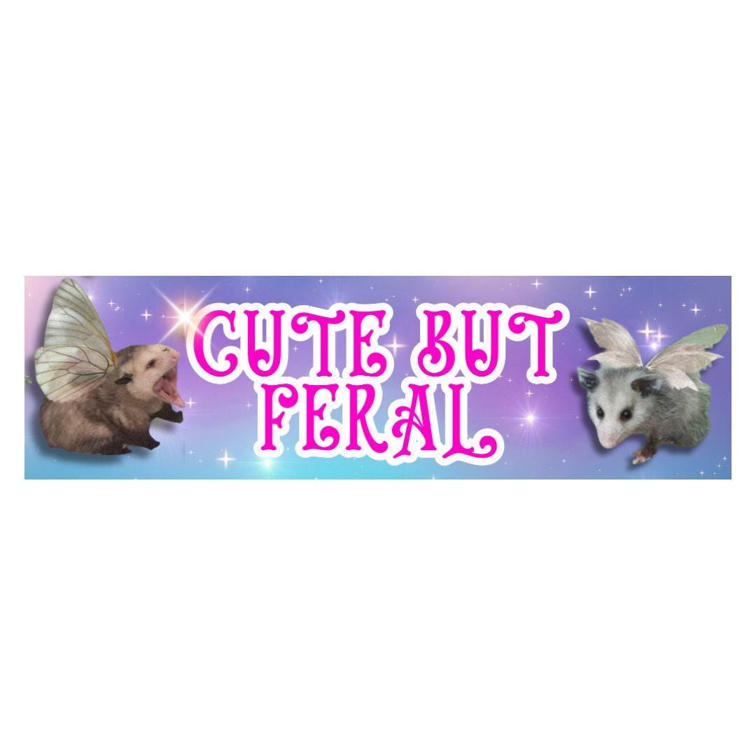 Cute but Feral - Possum Fairies |cute Possum Meme Sticker | Whimsical ...