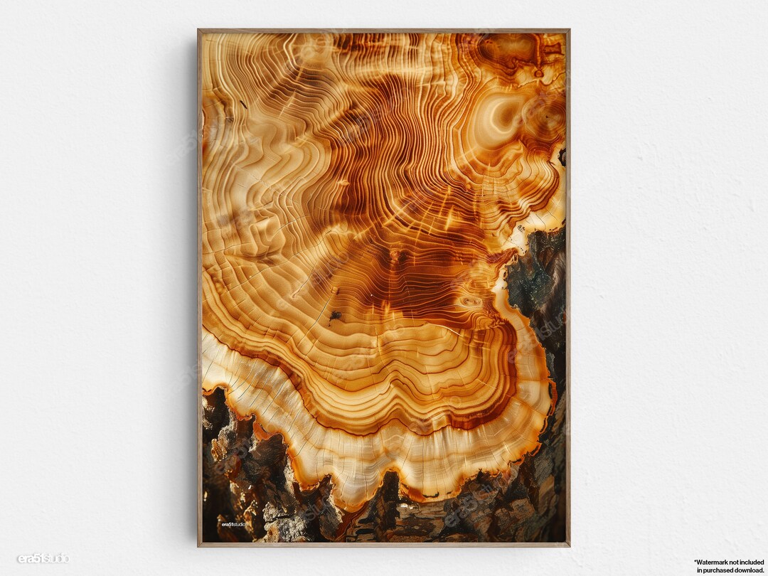 Beautiful Hardwood Tree Rings - Original Mid-century Modern Minimalist ...