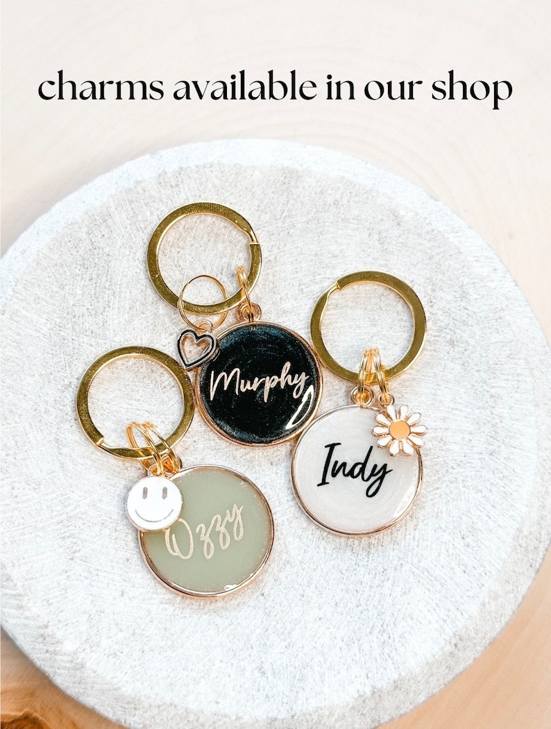 Personalized Resin Dog Tag, Custom Pet ID Tag With Name and Phone ...