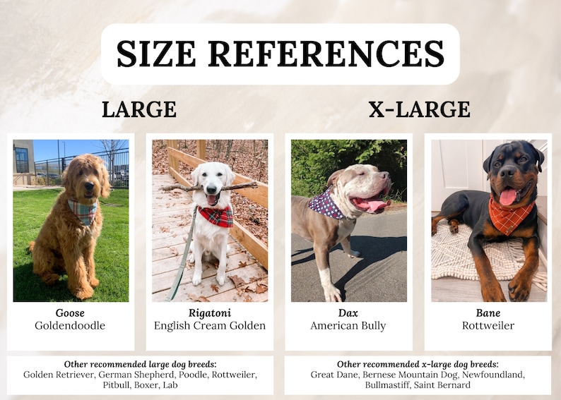 Personalized Dog Bandana Easy Slip Over the Collar Custom Pet Name ...