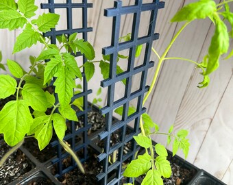 Demon Blood Sword Adventure Time Inspired 3D Print Files - Etsy