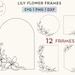 Hand Drawn Lily Flowers Frames Digital Download SVG PNG DXF Cut Files ...