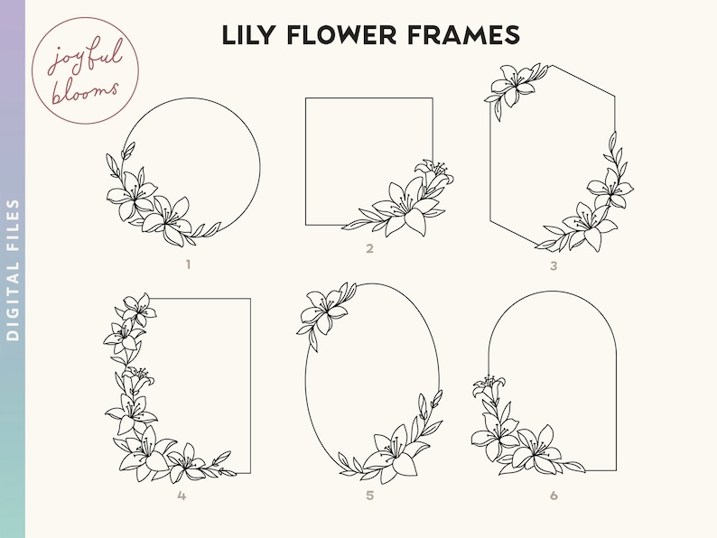 Hand Drawn Lily Flowers Frames Digital Download SVG PNG DXF Cut Files ...