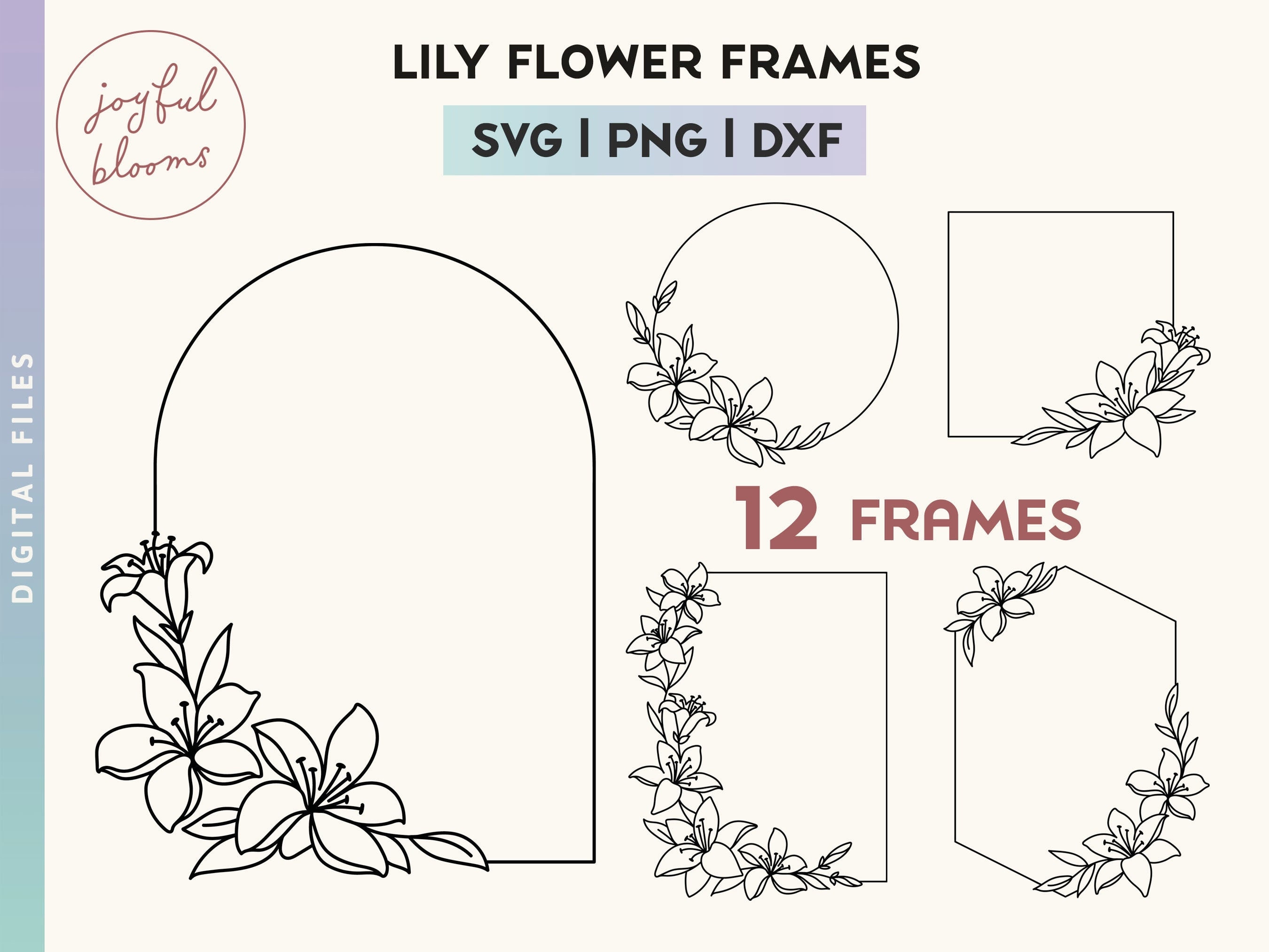 Hand Drawn Lily Flowers Frames Digital Download SVG PNG DXF Cut Files ...