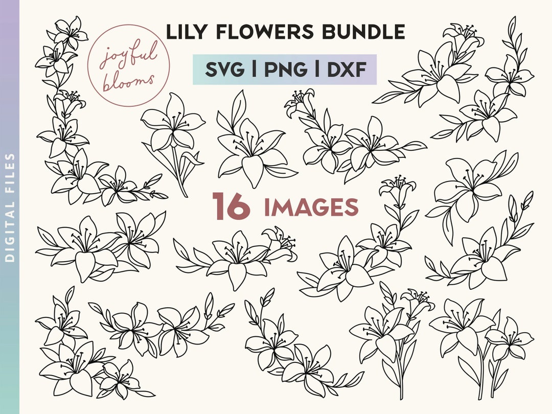 Hand-drawn Lily Flowers Bundle SVG PNG DXF, Boho Floral Line Art ...