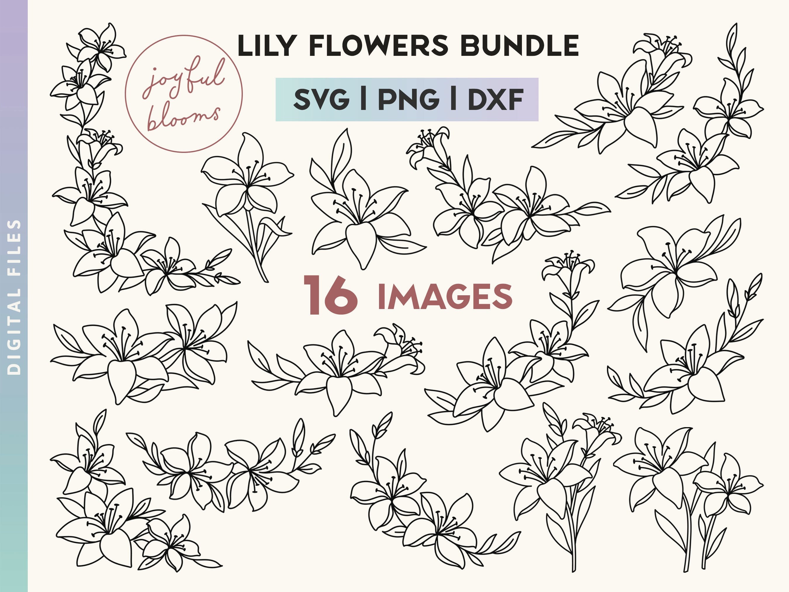 Hand-drawn Lily Flowers Bundle SVG PNG DXF, Boho Floral Line Art ...
