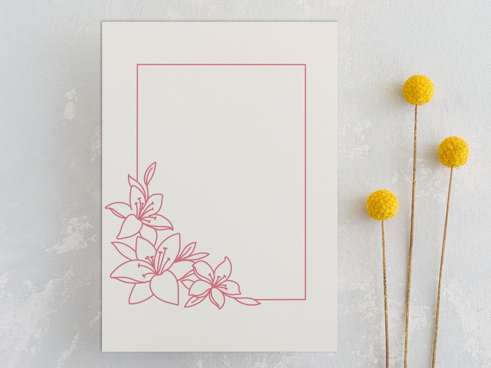 Hand Drawn Lily Flowers Frames Digital Download SVG PNG DXF Cut Files ...