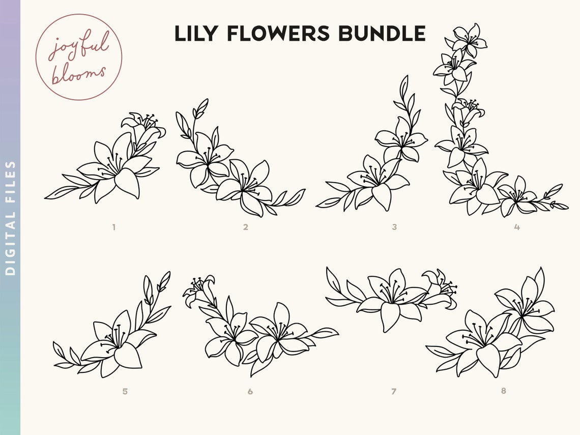 Hand-drawn Lily Flowers Bundle SVG PNG DXF, Boho Floral Line Art ...
