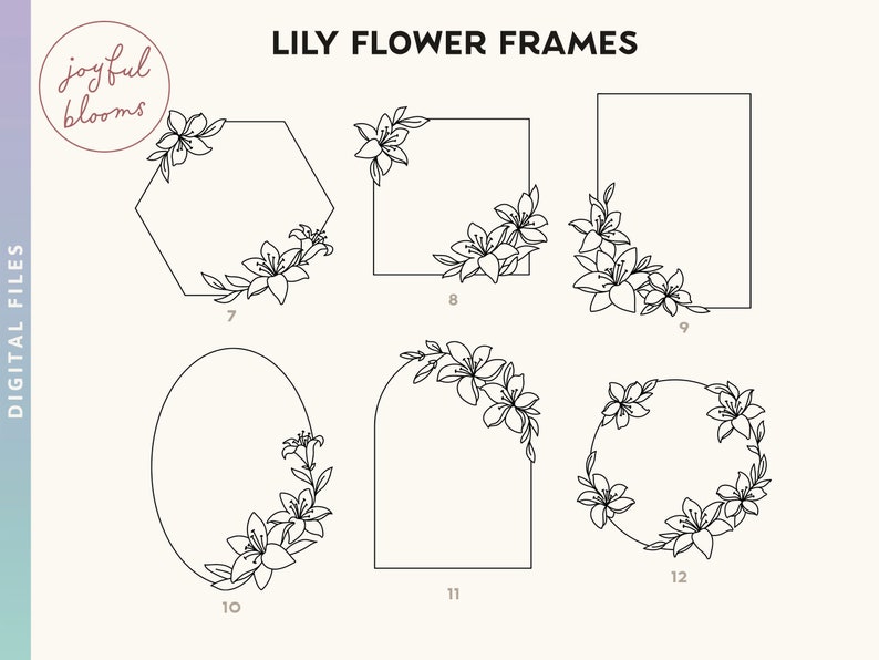 Hand Drawn Lily Flowers Frames Digital Download SVG PNG DXF Cut Files ...