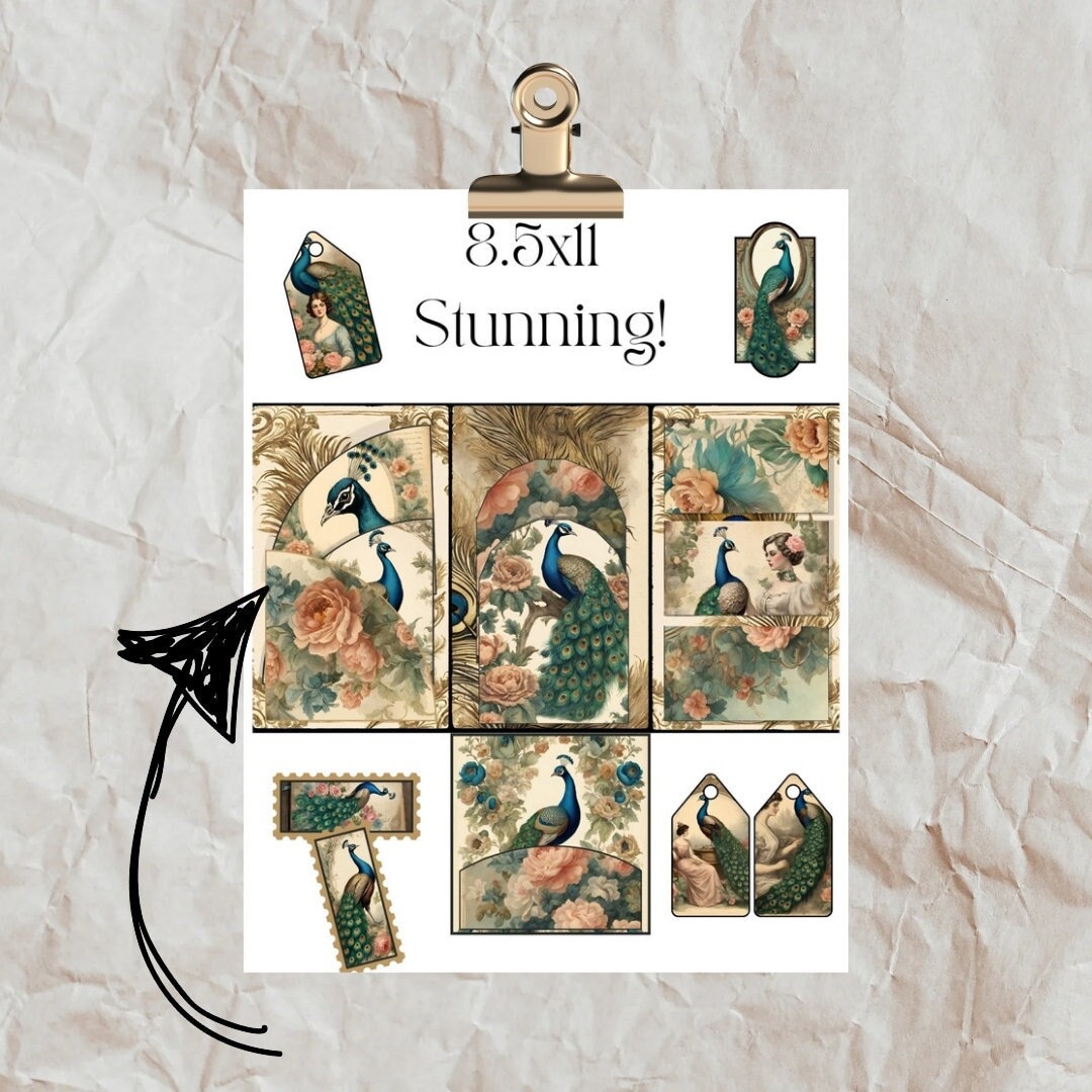 Editable Trifold Folio Booklet Template Folio Booklet Kit Template ...