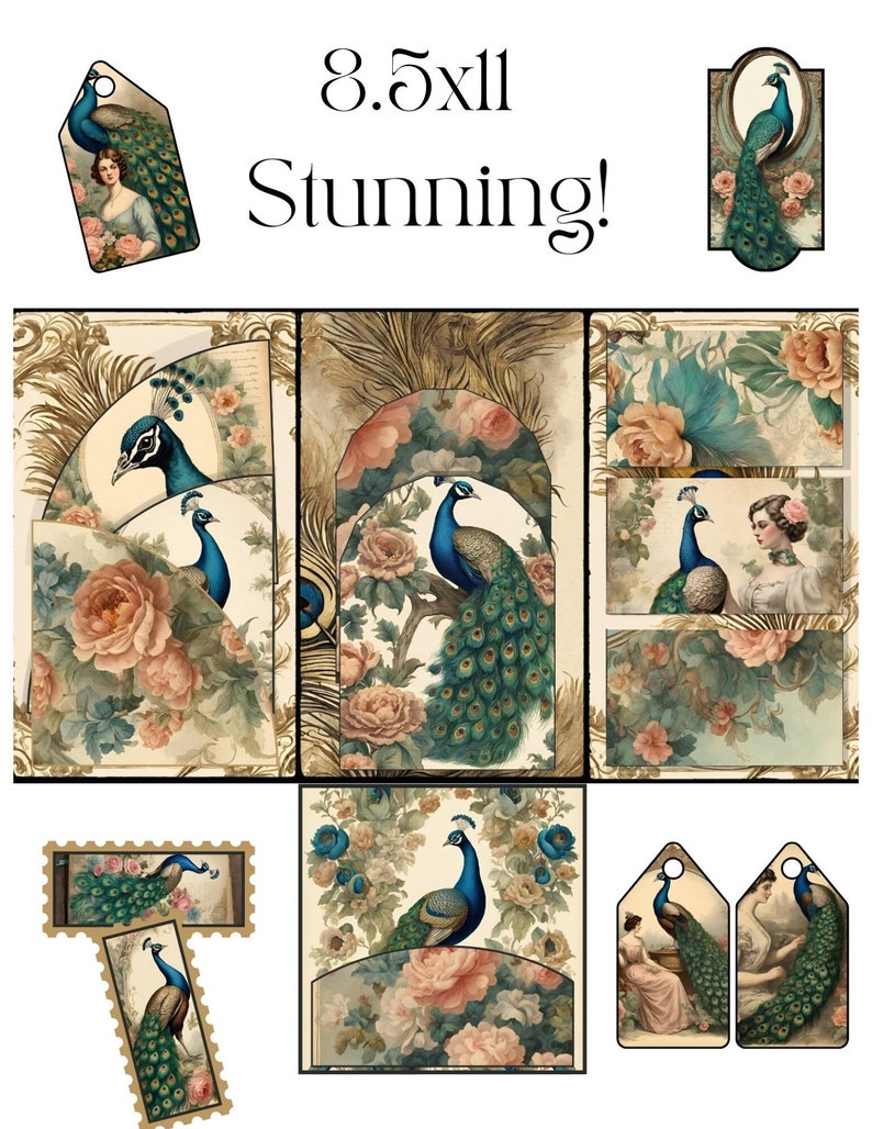 Editable Trifold Folio Booklet Template Folio Booklet Kit Template ...