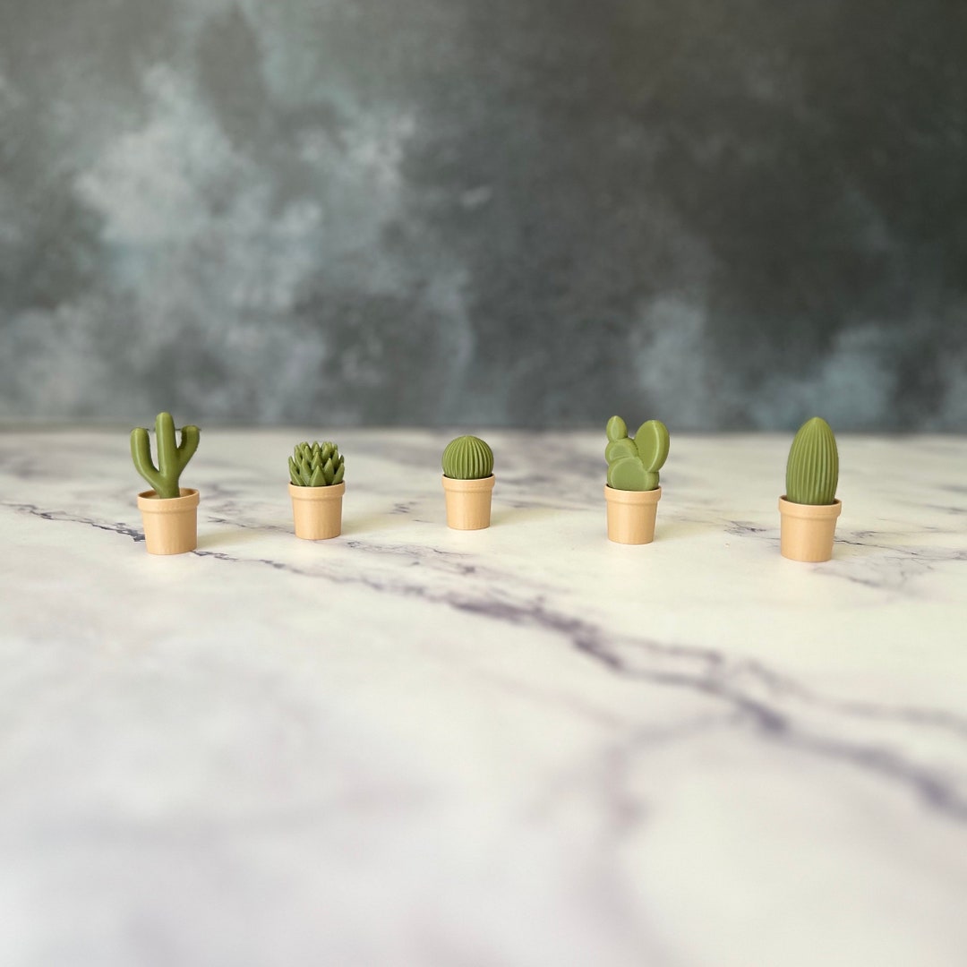 Mini Fake Cactus and Succulent Magnet Planter SET Faux Succulents ...