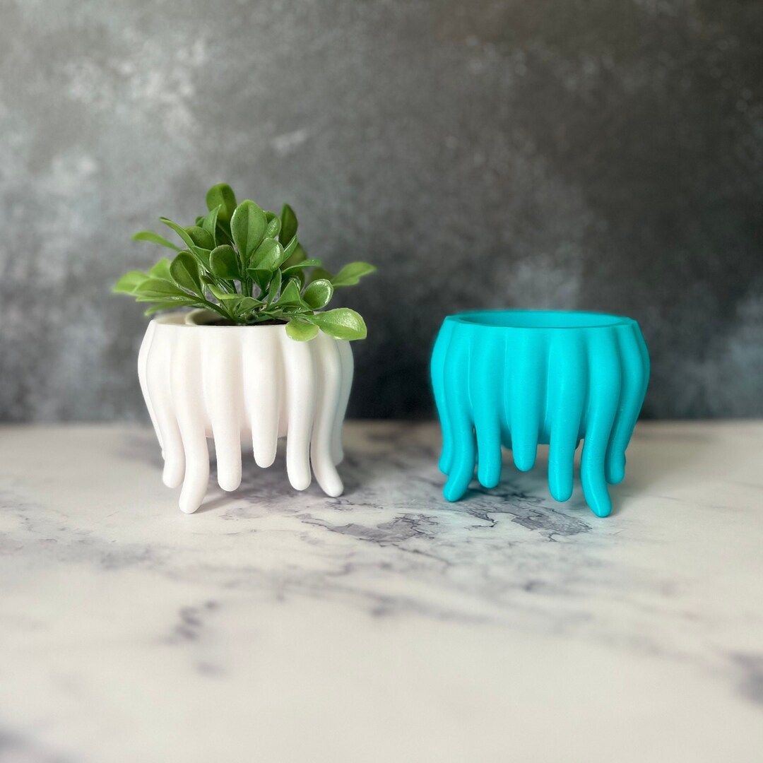 Tabletop Planter Jellyfish Drip Planter, Indoor Plant Pot, Unique ...