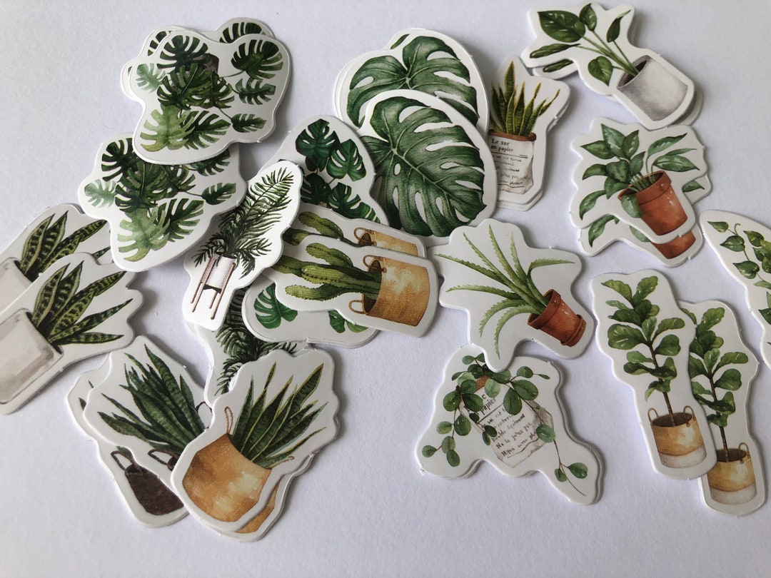 Pot Plants Sticker Set 40pcs - Etsy