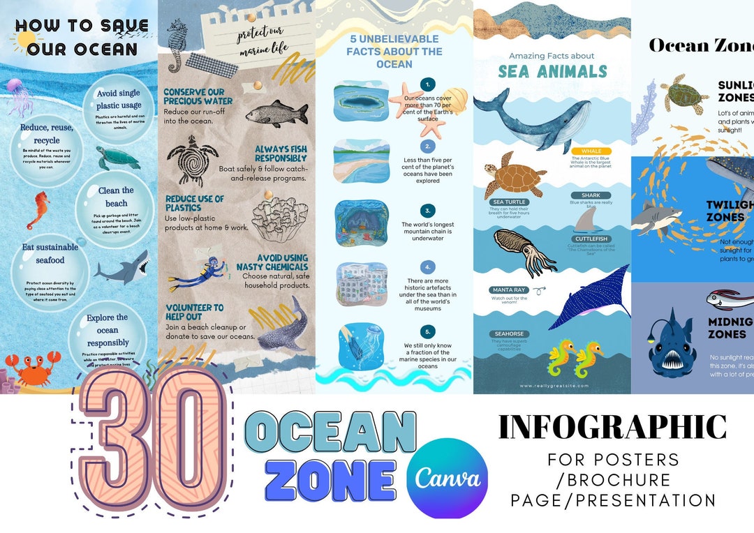 Infographic Template Ocean,canva Ocean Infographic Poster,infographic ...