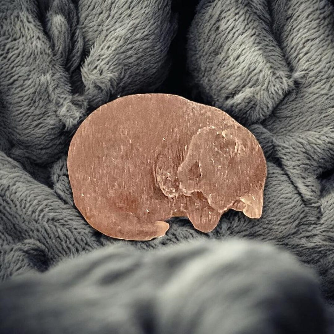 Cute Napping Cat | Resin Cat | Figurine | Curled up Cat | Cat Figurine ...