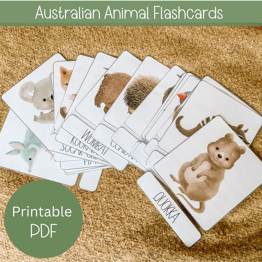 Australian Animal Flash Cards, Toddler Reading, Printable, Homeschool ...