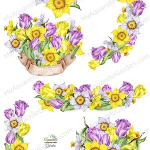 Daffodils and Tulips. Spring Flowers Bouquets and Garlands. Botanical ...