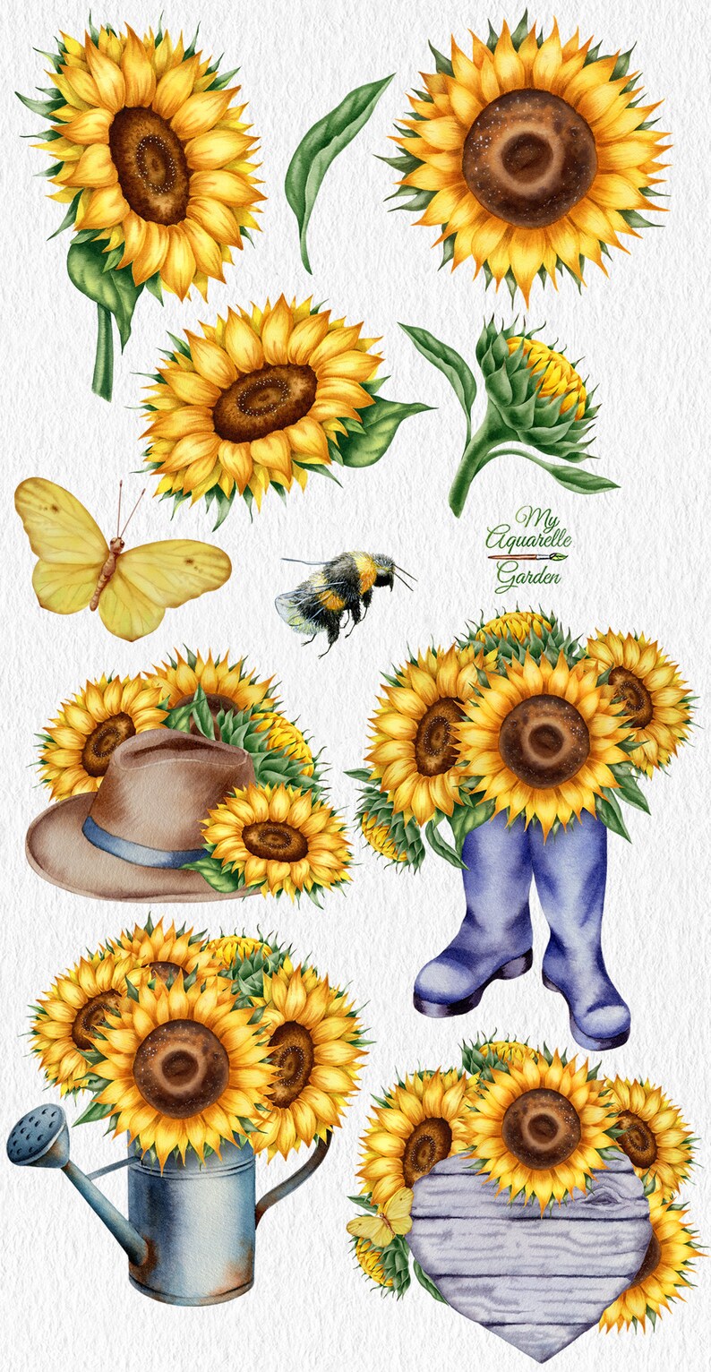 Sunflowers Gardening Farmhouse Clipart Watercolor Hand-painted ...