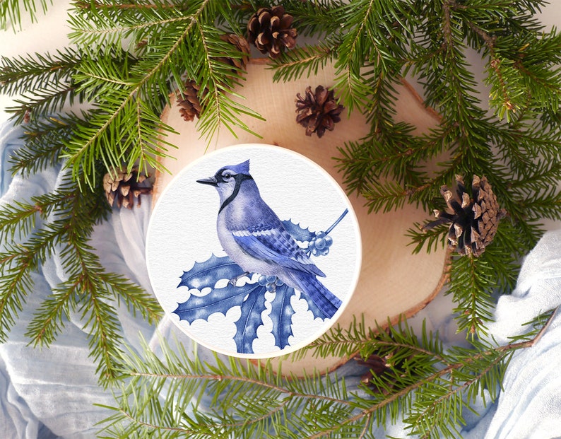 Blue Christmas Clipart: Watercolor Jay, Cones, Ornaments (PNG) - Etsy