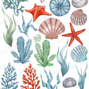 Ocean Creatures. Under the Sea. Corals, Seashells, Starfishesl ...