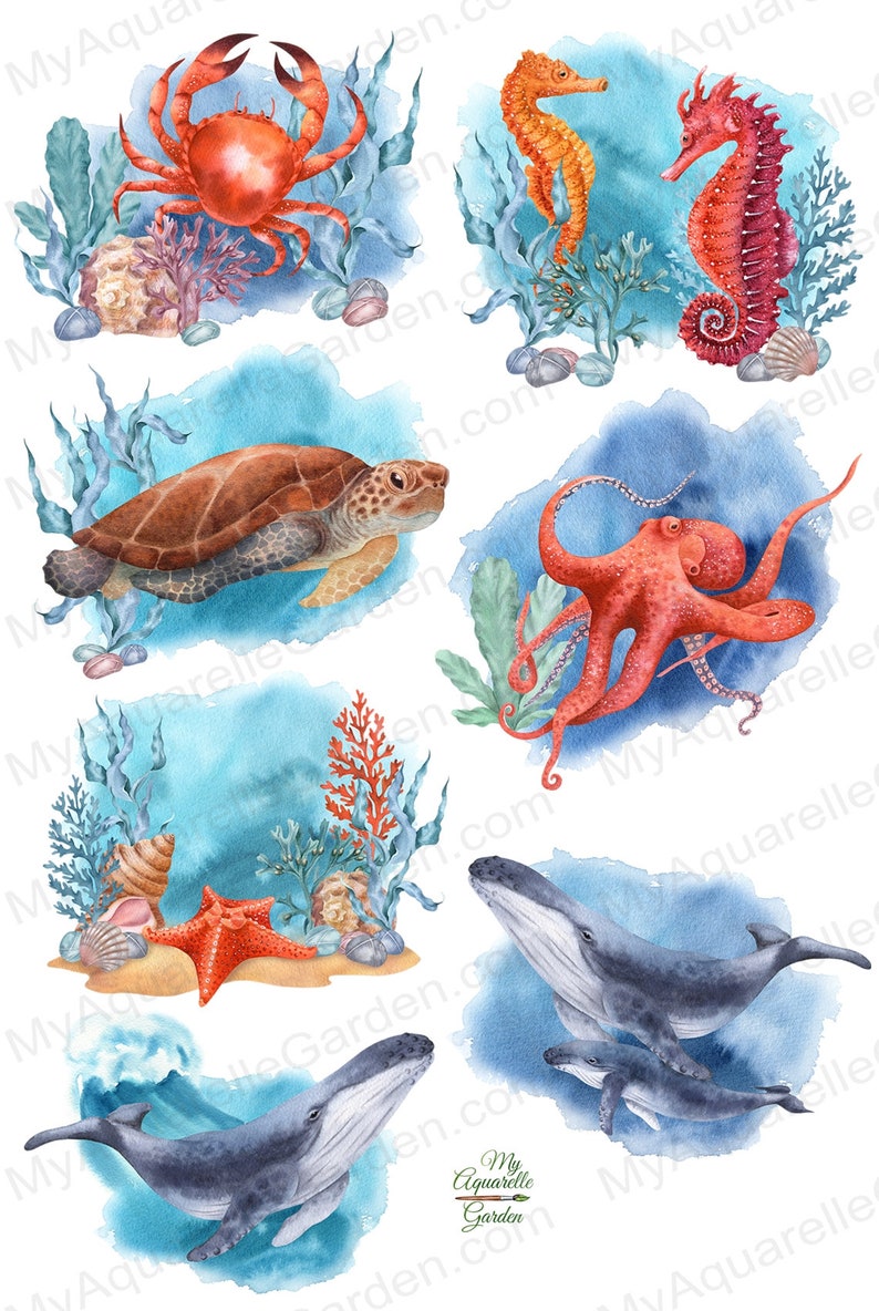 Sea Animals Watercolor Clipart. Hand-painted. Whale, Crab, Seahorse ...