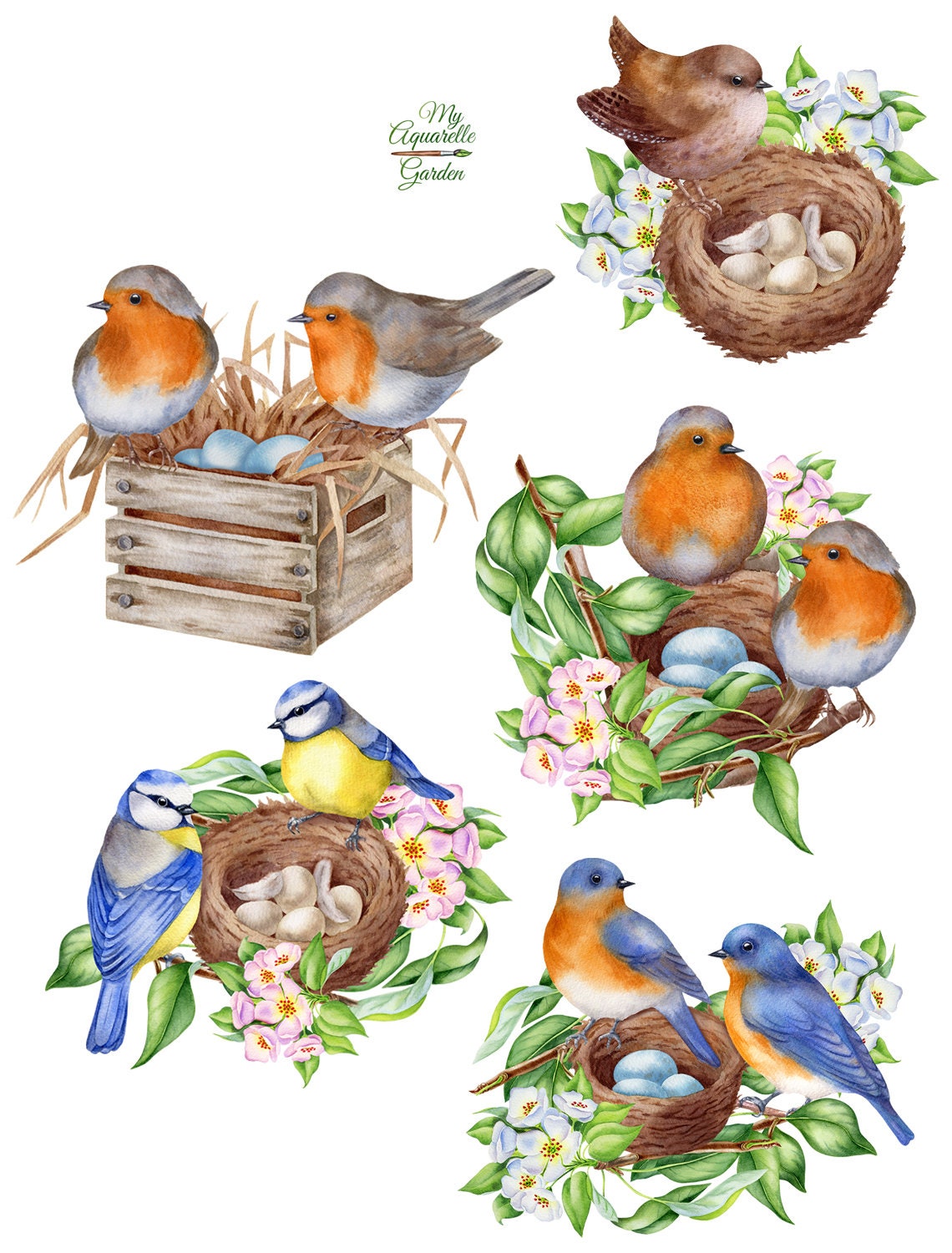 Birds, Nests, Eggs Clipart Watercolor Hand-painted Illustrations ...