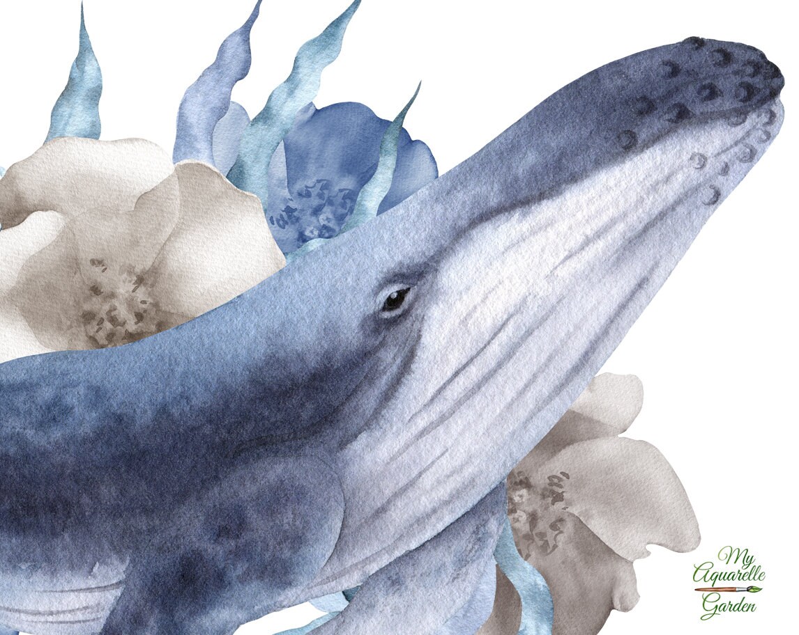 Blue Whales. Under the Sea. Watercolor Hand-painted Clipart. Nautical ...