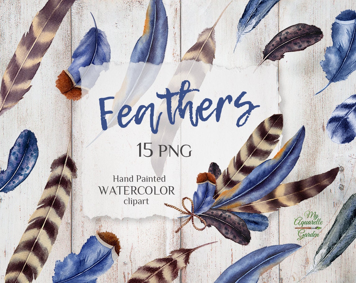 Feathers Watercolor Hand-painted Clipart Colorful Birds Feathers Boho ...
