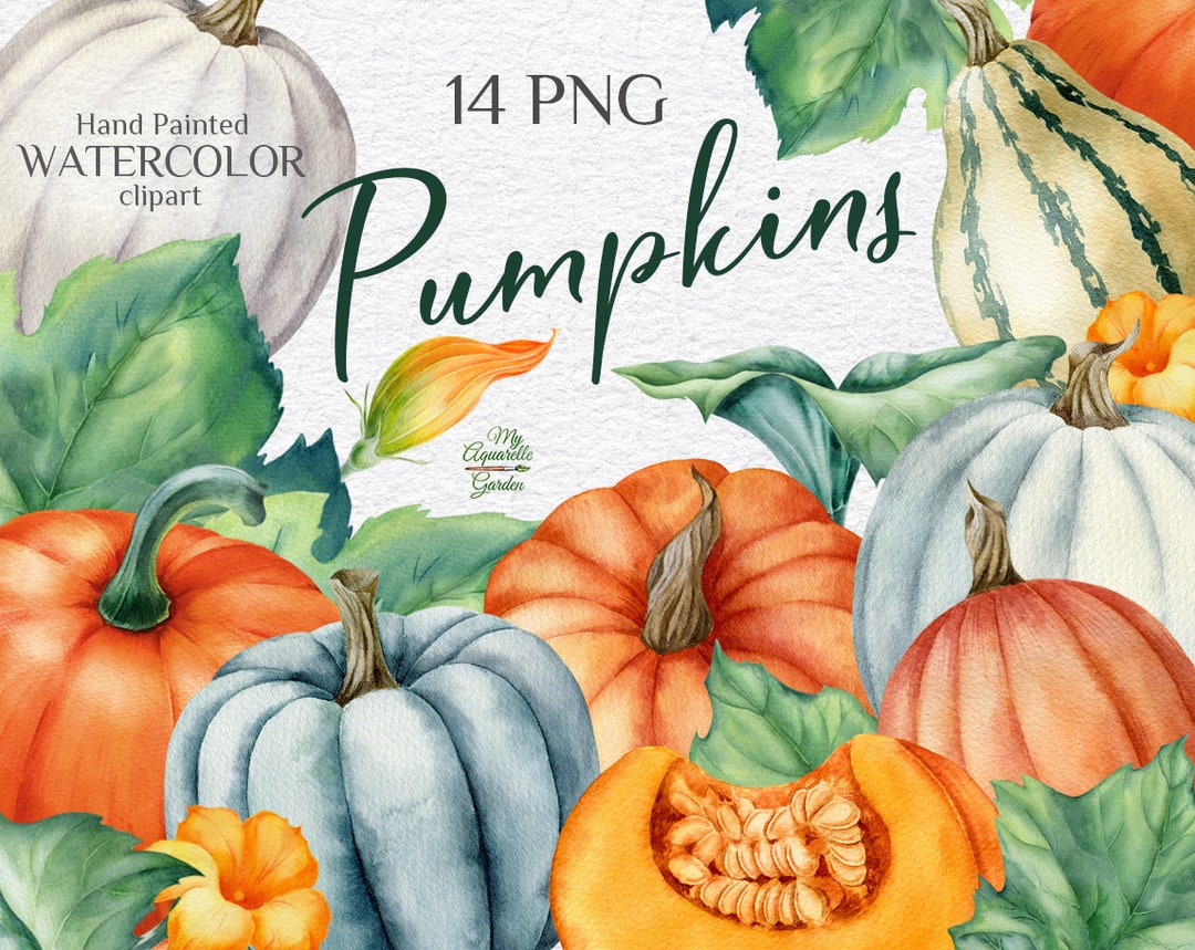 Pumpkins Watercolor Hand-painted Clipart Botanical Garden Farm Country ...