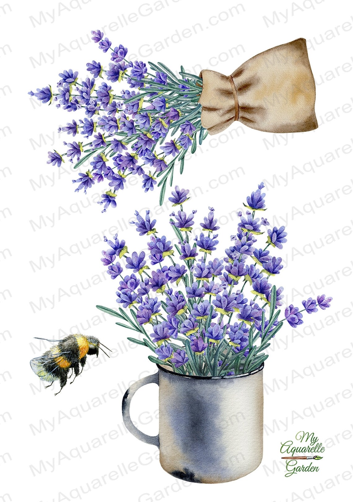 Lavender Watercolor Clipart. provencal Rustic Style. Herbal Hand ...
