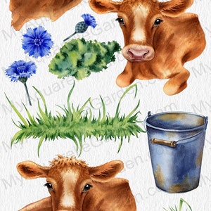 Milk Farm. Cow, Calf Clipart. Watercolor Hand-painted Images. Rustic ...
