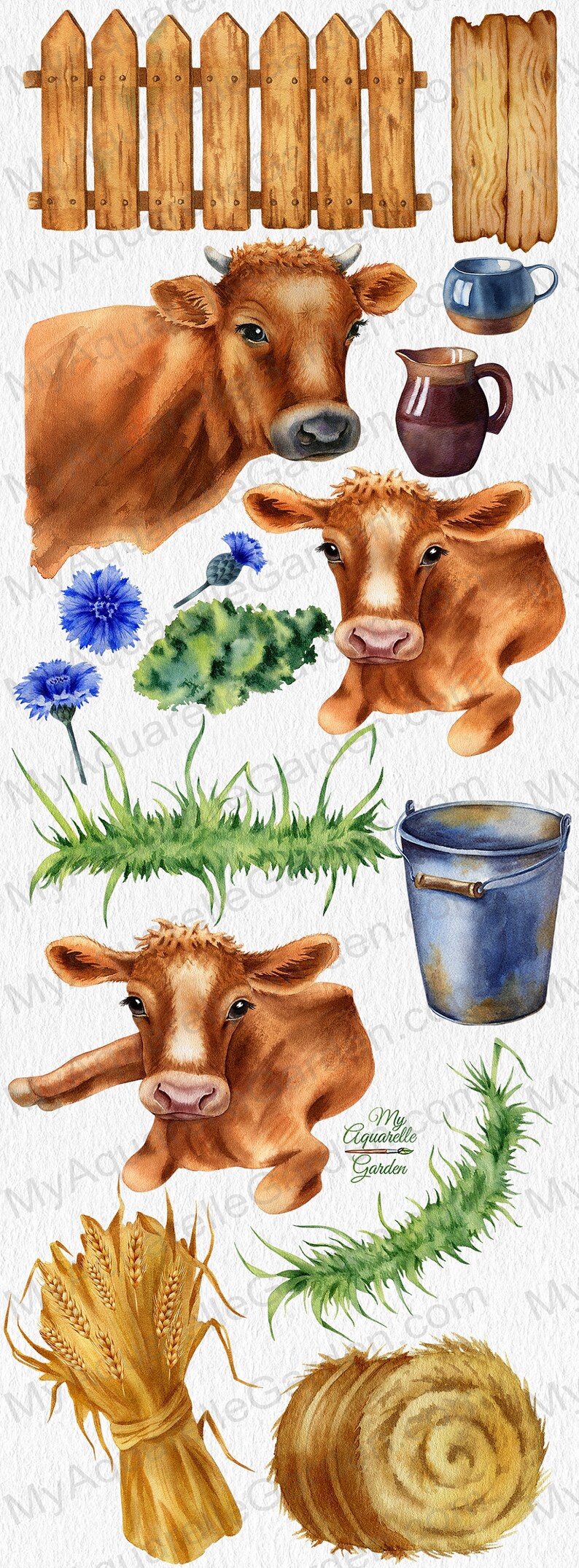 Milk Farm. Cow, Calf Clipart. Watercolor Hand-painted Images. Rustic ...