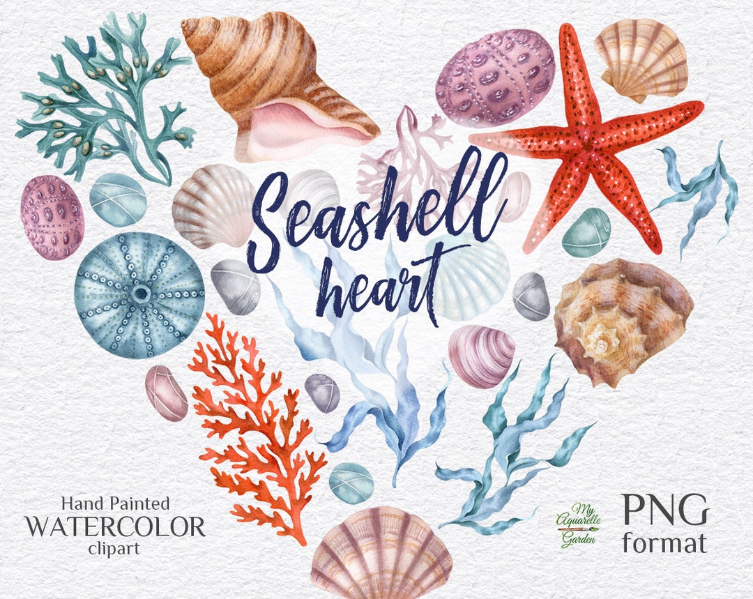 Seashells Heart Ocean Creatures Under the Sea Corals Starfishesl ...