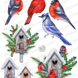 Winter Birds Birdhouse Xmas Watercolor Hand-painted Images New Year DIY ...