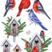 Winter Birds Birdhouse Xmas Watercolor Hand-painted Images New Year DIY ...