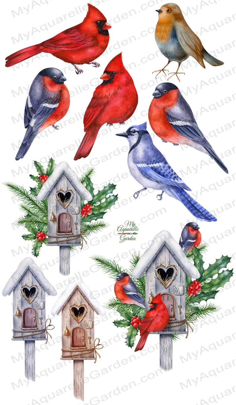 Winter Birds Birdhouse Xmas Watercolor Hand-painted Images New Year DIY ...